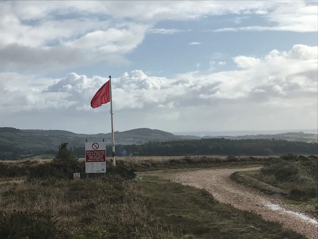Grenade range to reopen on East Devon Pebblebed Heaths - Pebblebed Heaths