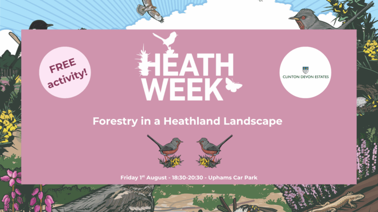Heath Week 2025: Forestry In A Heathland Landscape - Pebblebed Heaths